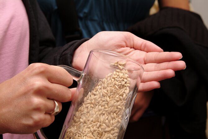 Beer and Brewery Tour in Munich - What the Experience Means for You