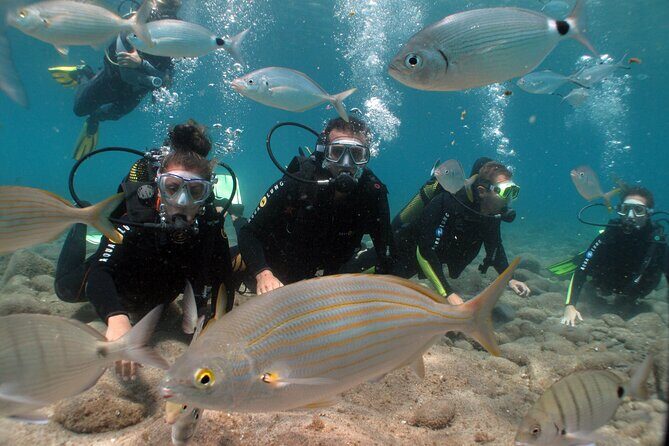 Beginner dive from Playa Chica with Instructor - Why This Tour Provides Good Value
