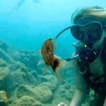 Beginner Scuba Diving Experience With Videos in West Palm Beach - The Guides and Atmosphere