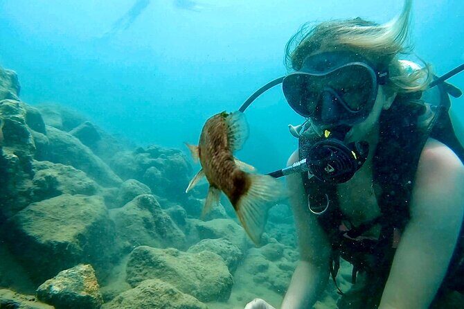Beginner Scuba Diving Experience With Videos in West Palm Beach - The Guides and Atmosphere