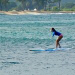 Beginner Surf Lesson at North Shore Haleiwa, Oahu - The Experience: An In-Depth Look at the Tour