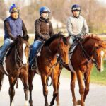 Behind the Scenes Thoroughbred Tour - Key Points