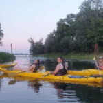 Belgrade: Great War Island Kayak Adventure - What to Expect from the Tour