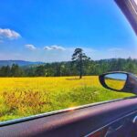 Belgrade to Zlatibor private transfer by car - The Value of a Private Transfer