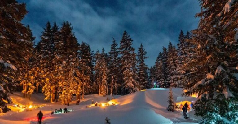 Bend: Cascade Mountains Snowshoeing Tour and Bonfire - Itinerary and Experience Breakdown