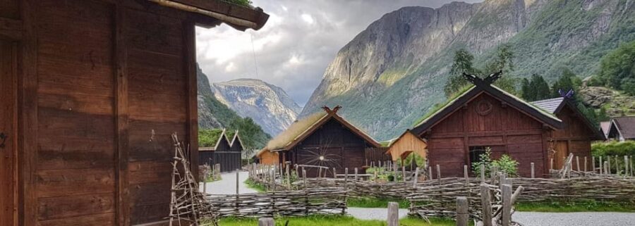 Bergen: Nærøyfjord Cruise and Flåm Railway Ride to Oslo - The Experience’s Strengths and Considerations
