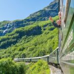 Bergen: Private Day Tour, Nærøyfjord Cruise and Flåm Railway - Authentic Reviews and Insights