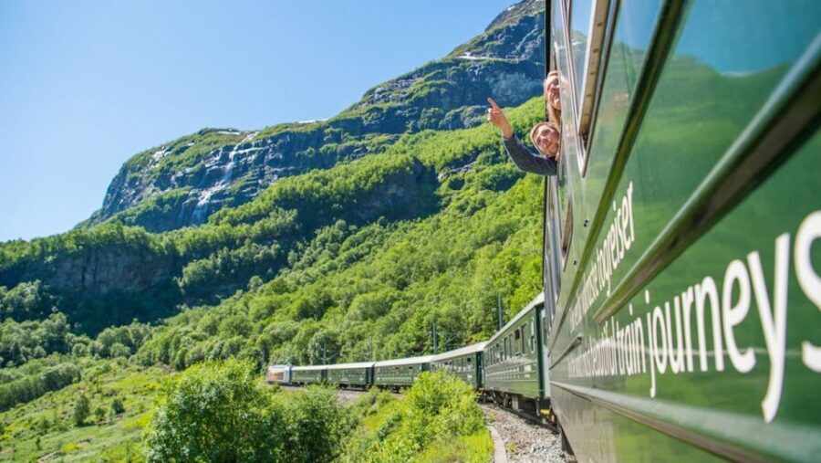 Bergen: Private Day Tour, Nærøyfjord Cruise and Flåm Railway - Authentic Reviews and Insights
