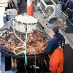 Bering Sea Crab Fisherman's Tour from Ketchikan - The Sum Up