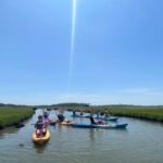 Berlin: Assateague Island Wildlife Discovery Kayak Tour - Practical Aspects and Value