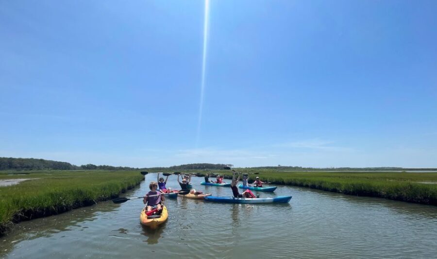 Berlin: Assateague Island Wildlife Discovery Kayak Tour - Practical Aspects and Value