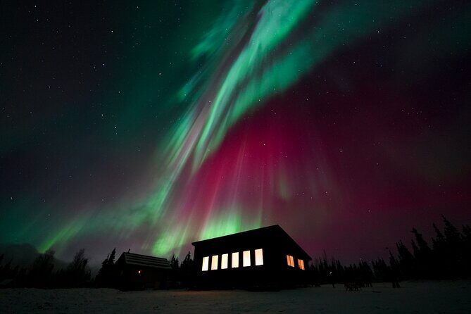 Best Alaskan Cabin Aurora Viewing with Photography @Aurora Camp - What to Expect on the Night