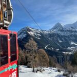 Best of Bernese Oberland & Swiss Countryside Tour - Who Will Love This Tour?