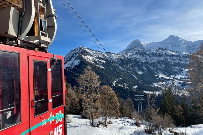 Best of Bernese Oberland & Swiss Countryside Tour - Who Will Love This Tour?