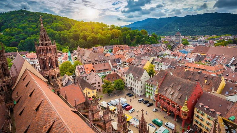 Best of Freiburg: Private Walking Tour with a Local - The Value and Practicalities