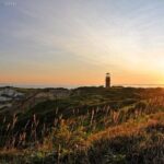 Best of Martha's Vineyard 1-Day Tour from Boston MA - Ample Free Time to Explore