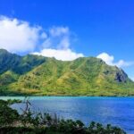 Best of Oahu Full-Day Small-Group Island Tour - Final Thoughts: Who Is This Tour For?