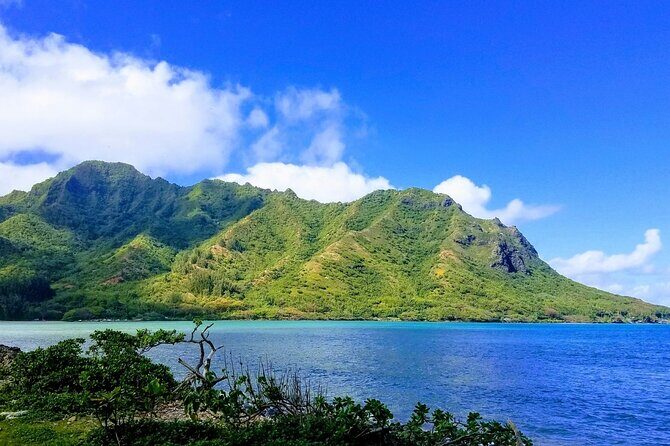 Best of Oahu Full-Day Small-Group Island Tour - Final Thoughts: Who Is This Tour For?