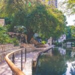 Best of San Antonio Small Group Tour with Boat + Tower + Alamo - The Sum Up