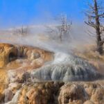 Best Of Yellowstone Full Day Nat'l Park Tour From Gardiner - FAQs