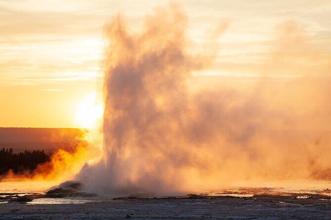 Best of Yellowstone Guided Tour from Bozeman - Private Tour - Why This Tour Is a Great Choice