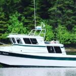 Best Whale Watching and Wildlife Shore Excursion in Sitka - Who Will Enjoy This Tour Most?