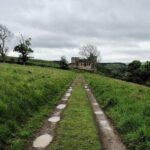 Beyond Edinburgh (Half Day Tour) - What to Expect from the Transportation and Guide