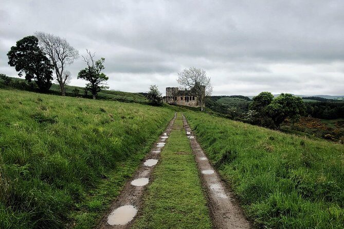 Beyond Edinburgh (Half Day Tour) - What to Expect from the Transportation and Guide