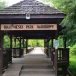 Bialowieza National Park Small Group Tour from Warsaw with Lunch included - What’s Included and What to Expect