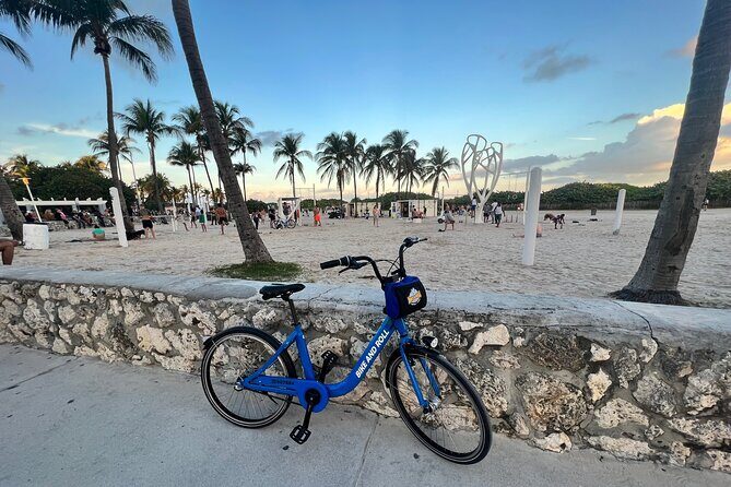 Bicycle Rental in Miami Beach - Who Will Love This Experience?