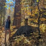 Big Bear Fall Colors Hiking Tour in Southern California - What Travelers Say About This Tour