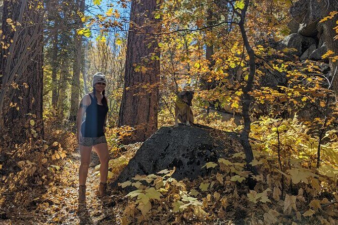 Big Bear Fall Colors Hiking Tour in Southern California - What Travelers Say About This Tour
