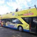 Big Bus Athens Hop-On Hop-Off with optional Piraeus & Riviera - Who Will Love This Tour?
