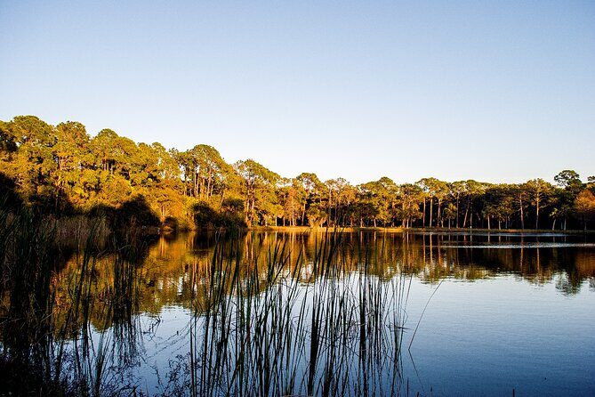 Big Cypress National Preserve Self Guided Driving Audio Tour - Practical Considerations