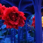 Big Fun Museum Ticket - FAQs About the Big Fun Museum
