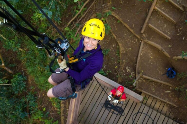 Big Island: 3-Hour Kohala Canopy Zipline Adventure - What the Experience Means for You