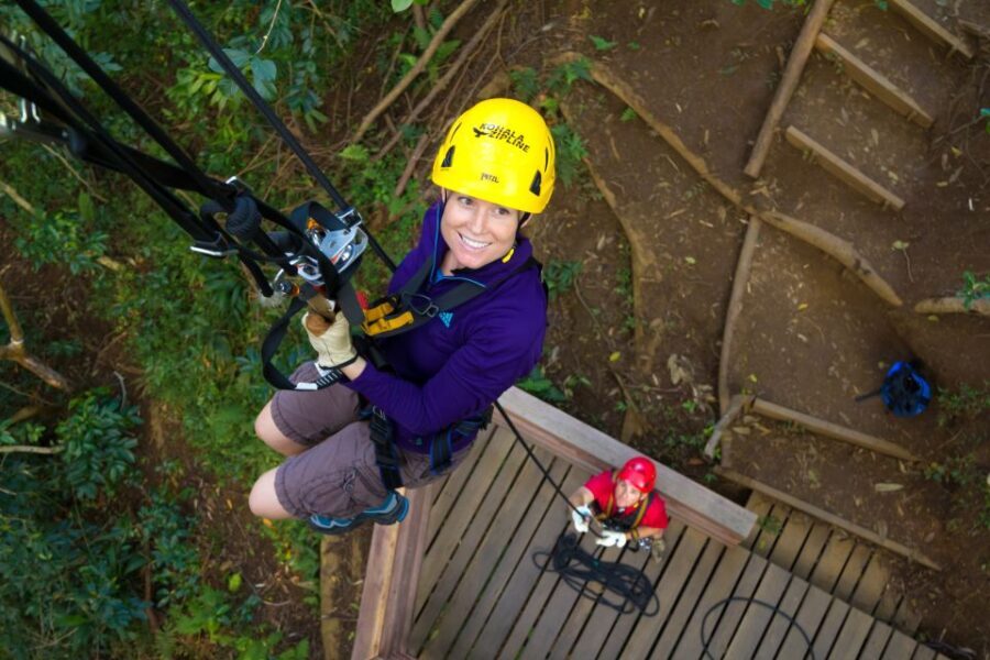 Big Island: 3-Hour Kohala Canopy Zipline Adventure - What the Experience Means for You