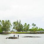 Big Island Adventure Bundle: 5 Epic Audio Driving Tours - Day 2: Farming, Waterfalls, and Botanical Gems