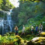 Big Island: Full Day Adventure Tour of the Kohala Waterfalls - Discovering the Kohala Waterfalls Tour