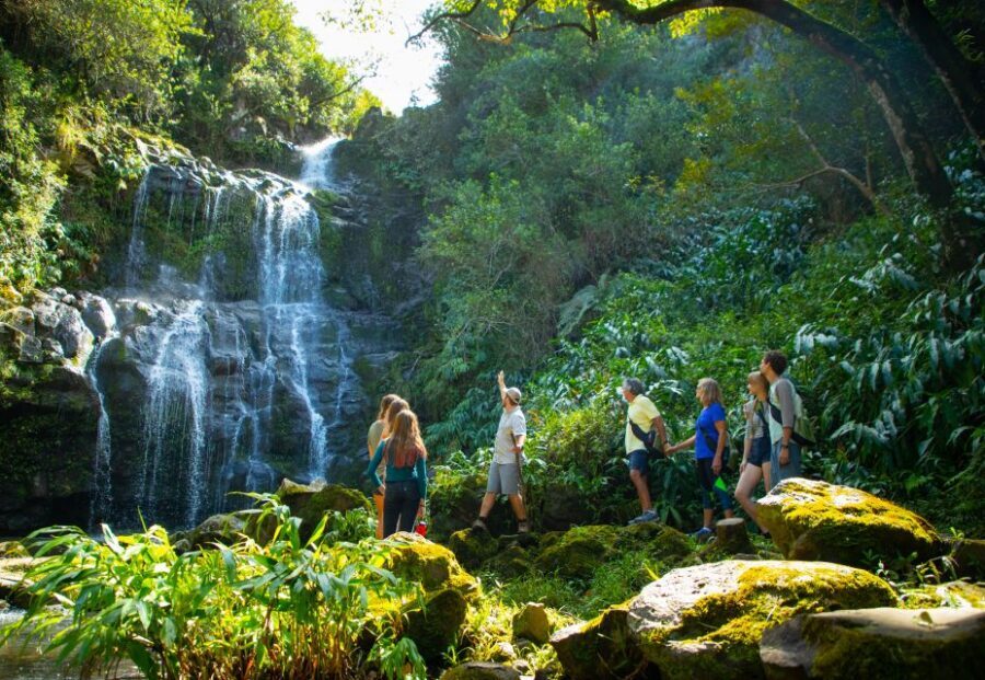 Big Island: Full Day Adventure Tour of the Kohala Waterfalls - Discovering the Kohala Waterfalls Tour