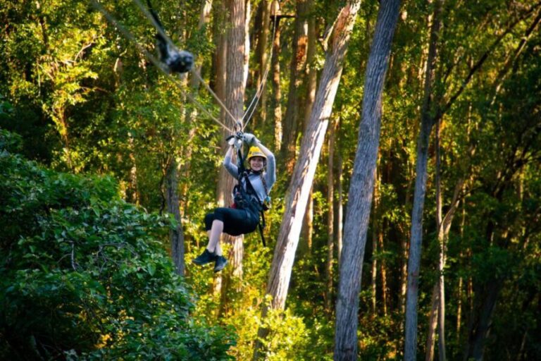 Big Island: Full-Day Kohala Zipline and Waterfall Adventure - The Itinerary: A Closer Look