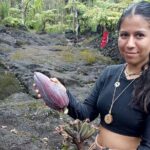 Big Island Jungle Tour with Banana and Guava Green Tea - A Closer Look at the Tour Experience