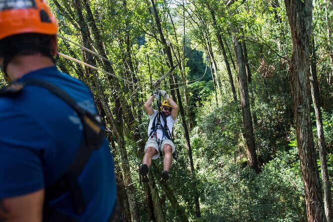 Big Island Kohala Canopy Zipline Adventure - Authentic Feedback from Travelers