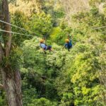 Big Island Kohala Zip and Dip Tour from Kona - Why This Tour Works Well