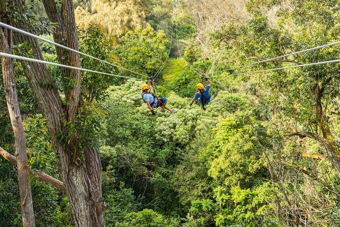 Big Island Kohala Zip and Dip Tour from Kona - Why This Tour Works Well