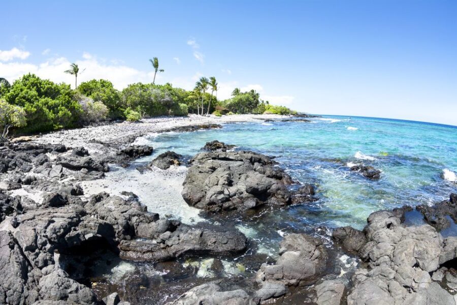Big Island: Luxury Catamaran Trip along the Kona Coast - Authentic Perspectives from Guests
