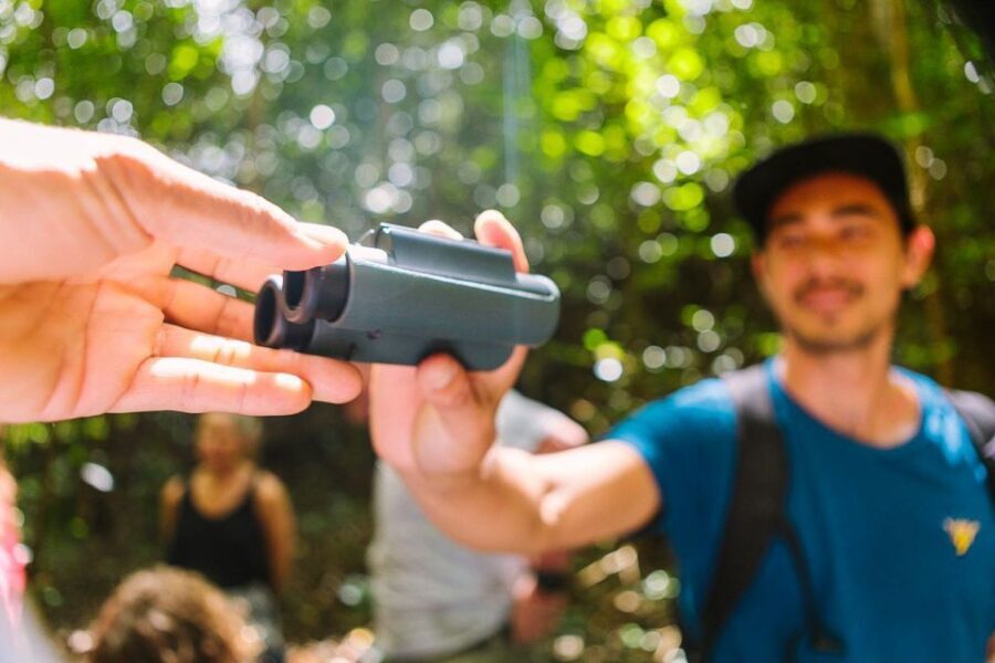 Big Island: Native Bird Watching & Hiking Tour - Introduction to the Tour