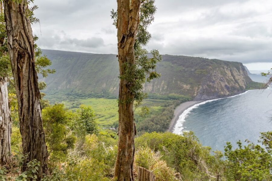 Big Island: Private Island Circle Tour with Lunch and Dinner - Authentic Experiences That Matter