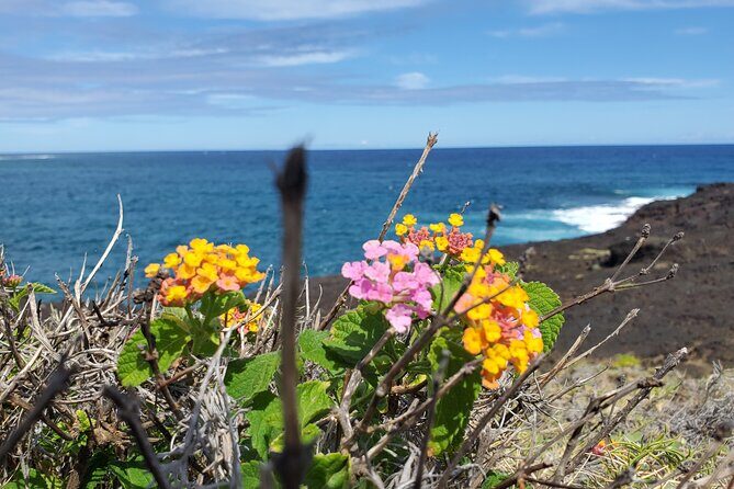 Big Island Southside ATV Tour - FAQ