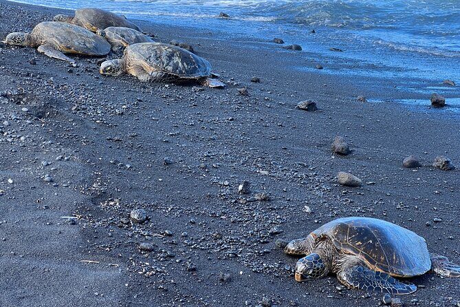 Big Island Tour of East to West - Who Will Love This Tour?